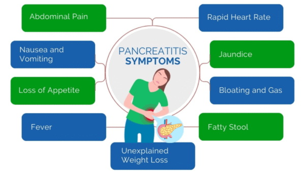 What is Pancreatitis? Symptoms and Treatment in Homoeopathy - PMRI ...